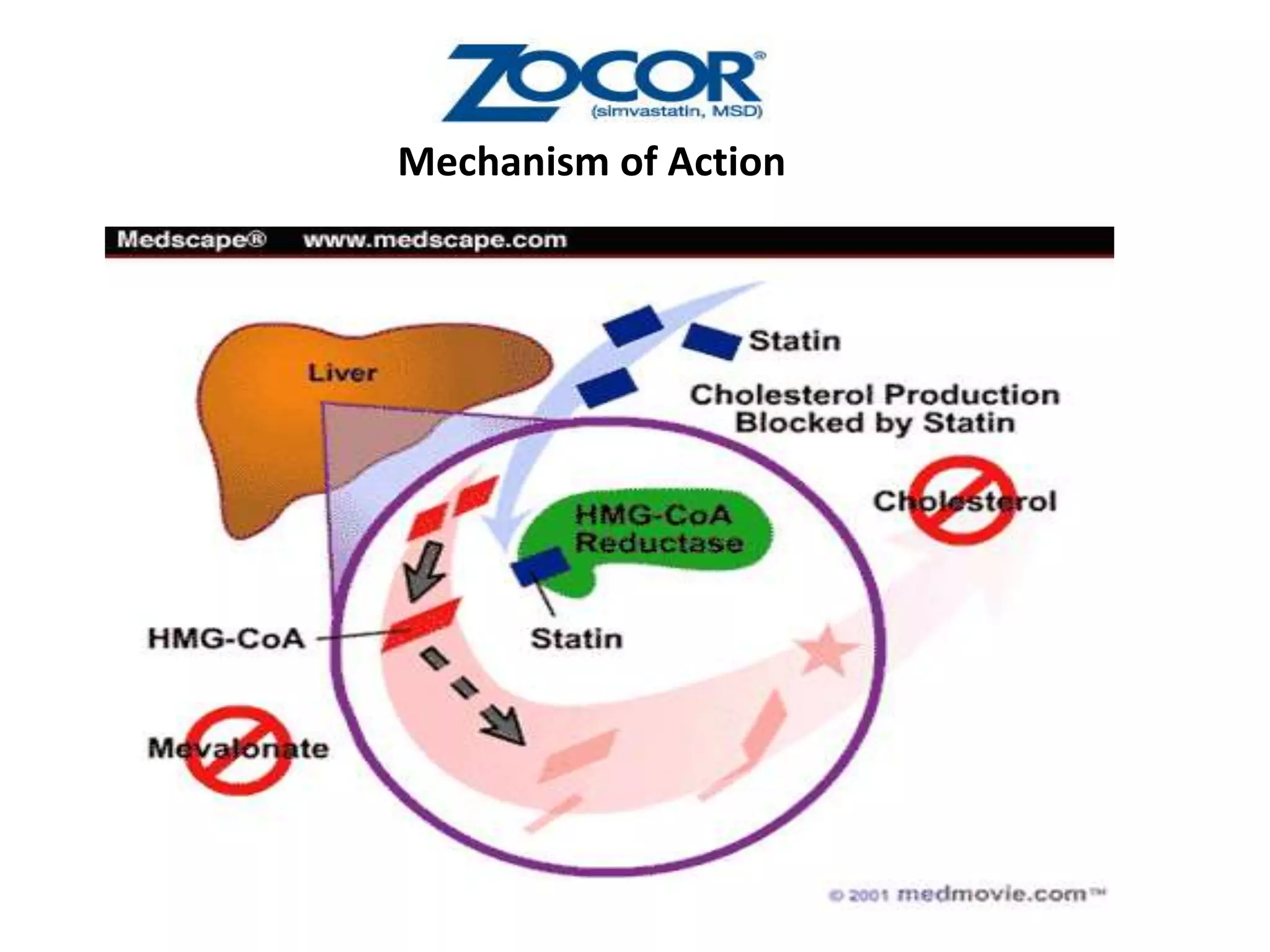 Zocor product monograph | PPTX | Heart and Cardiovascular Diseases ...