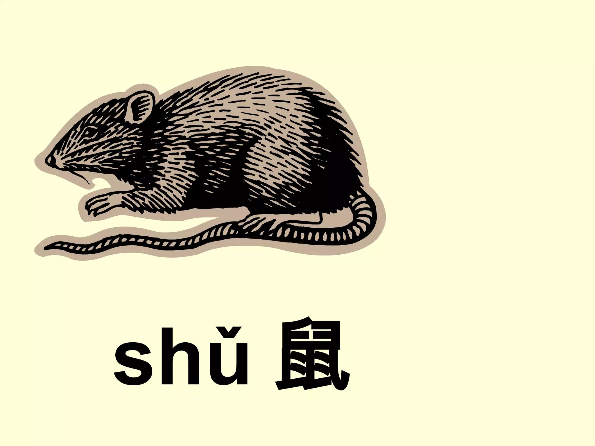 Chinese Zodiac animal descriptions | PPT