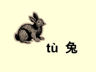 Chinese Zodiac animal descriptions | PPT
