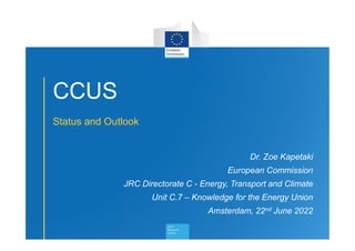 DISCUSSION ON CCUS TECHNOLOGY STATUS AND OUTLOOK | PDF