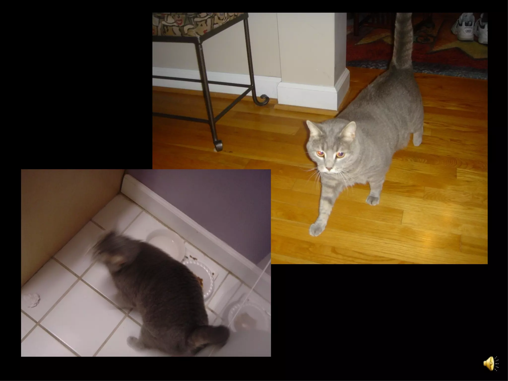 Mi familia - Novice Spanish | PPT