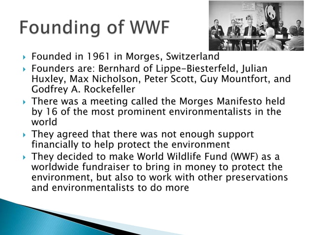 Zoe m presentation | PPT