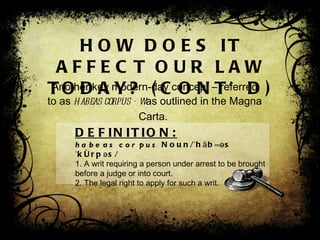 Zofia switkowskimagna carta | PPT