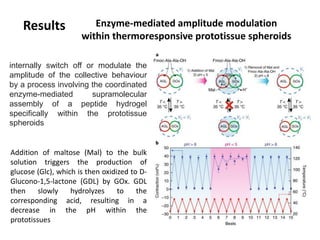 Programmed Assembly of Synthetic Protocells into Thermoresponsive ...