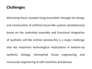 Programmed Assembly of Synthetic Protocells into Thermoresponsive ...