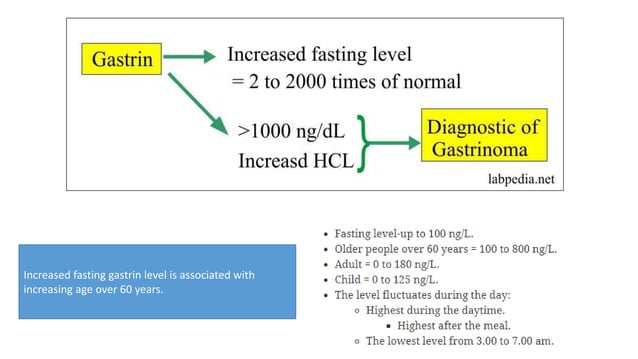 Zollinger ellison syndrome | PPTX | Endocrine and Metabolic Diseases ...
