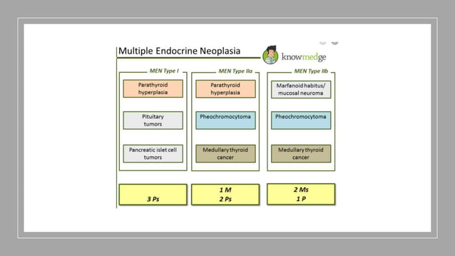 Zollinger ellison syndrome | PPTX | Endocrine and Metabolic Diseases ...