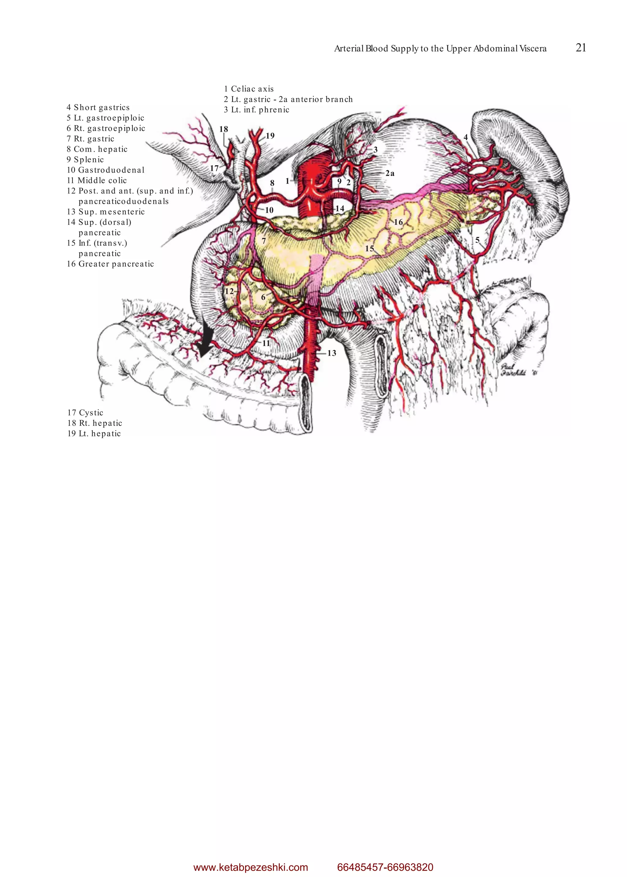 Zollinger’s Atlas of Surgical Operations-McGraw-Hill (2016).pdf