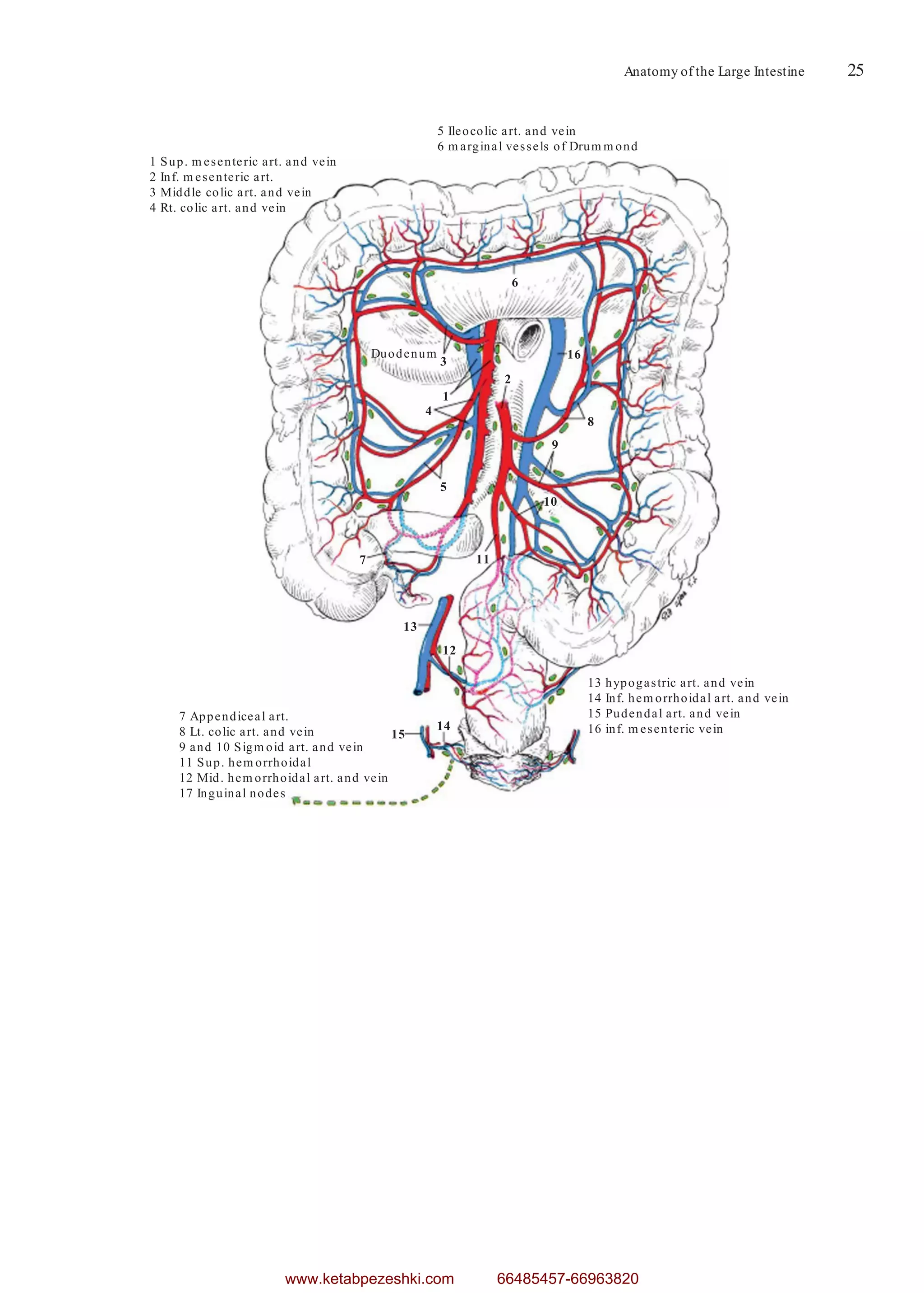 Zollinger’s Atlas of Surgical Operations-McGraw-Hill (2016).pdf