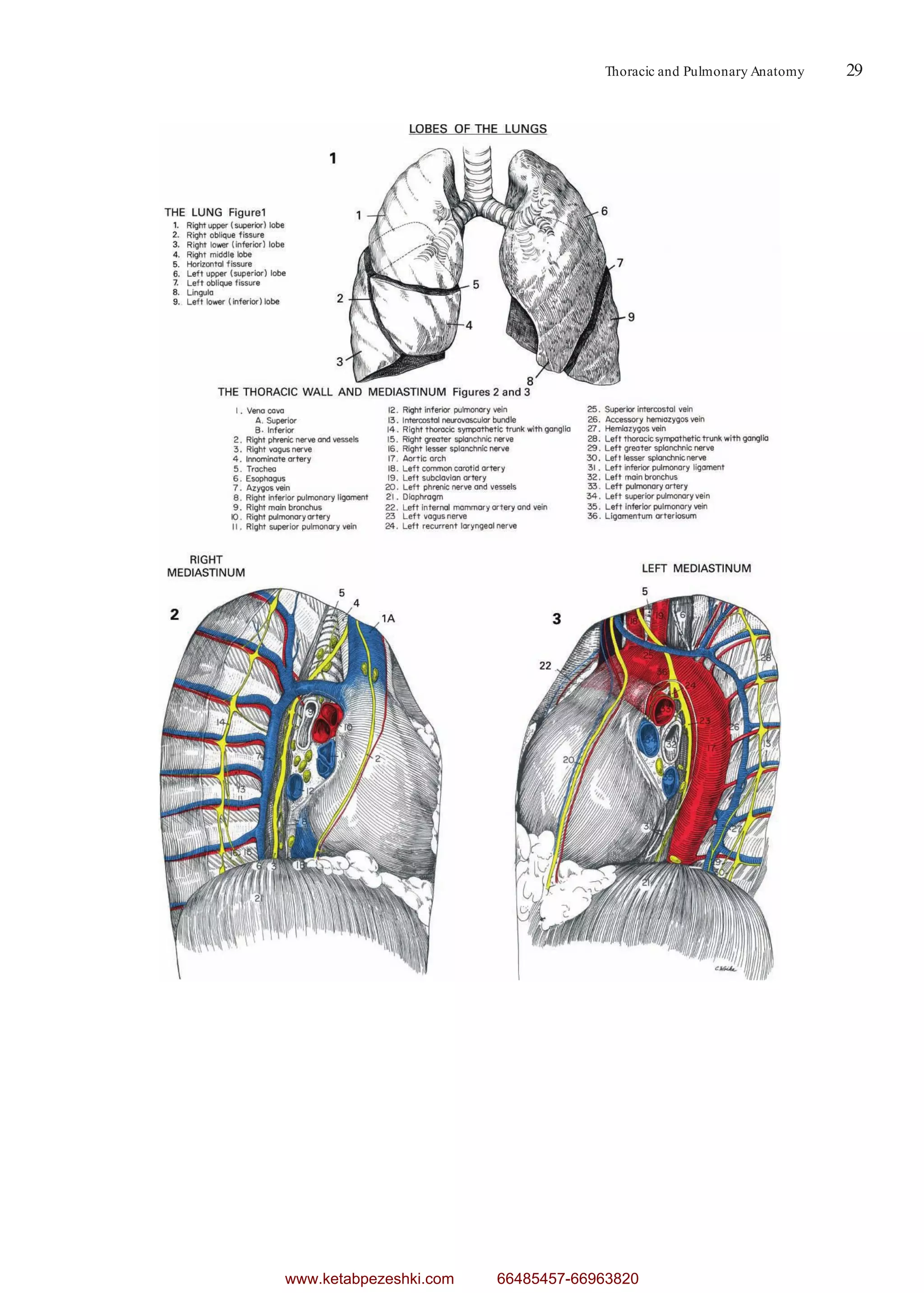 Zollinger’s Atlas of Surgical Operations-McGraw-Hill (2016).pdf
