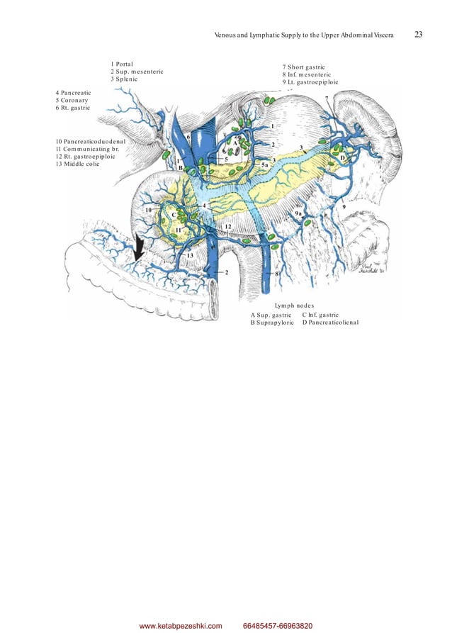 Zollinger’s Atlas of Surgical Operations-McGraw-Hill (2016).pdf ...
