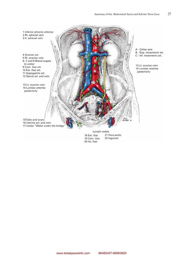 Zollinger’s Atlas of Surgical Operations-McGraw-Hill (2016).pdf ...