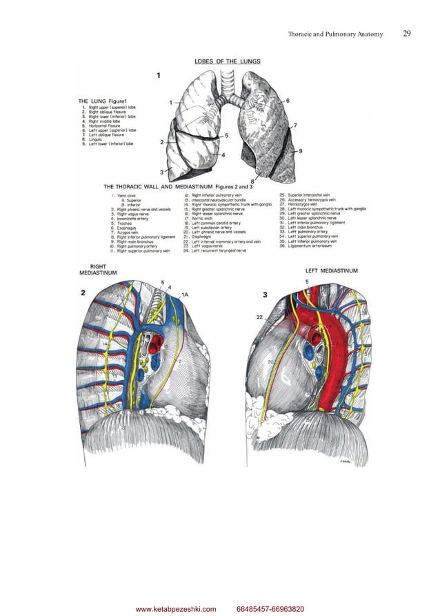 Zollinger’s Atlas of Surgical Operations-McGraw-Hill (2016).pdf