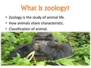 a simple presentation about Zoology | PPT