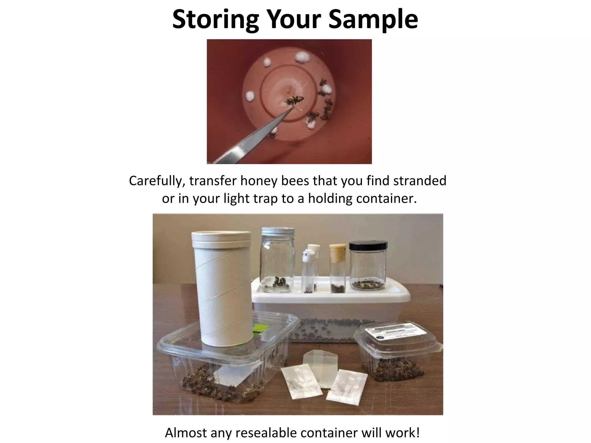 ZomBee Watch Tutorial | PPT