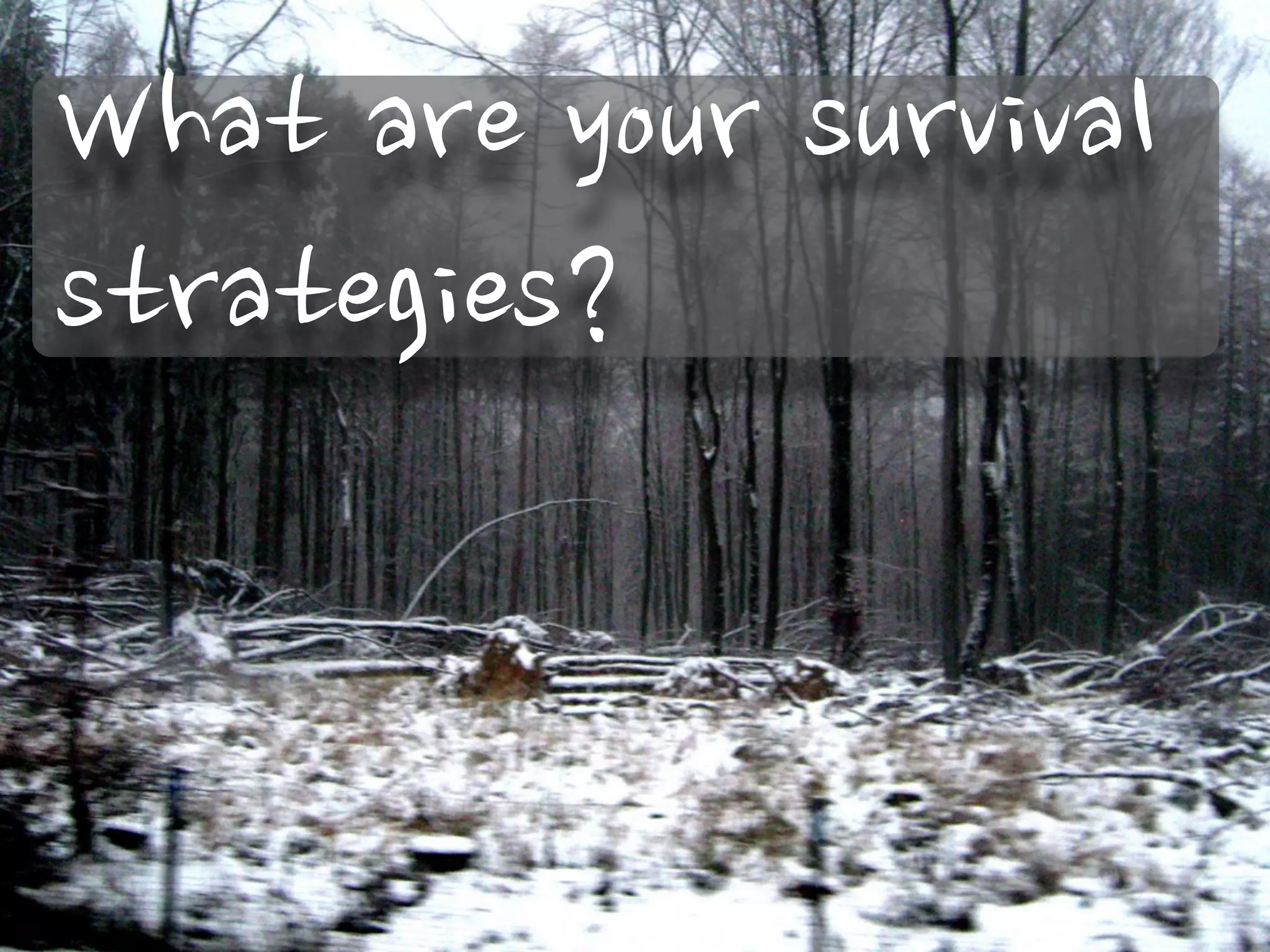 Zombie Apocalypse Survival Guide | PDF