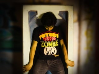 Zombie Ate My Shirt | PDF