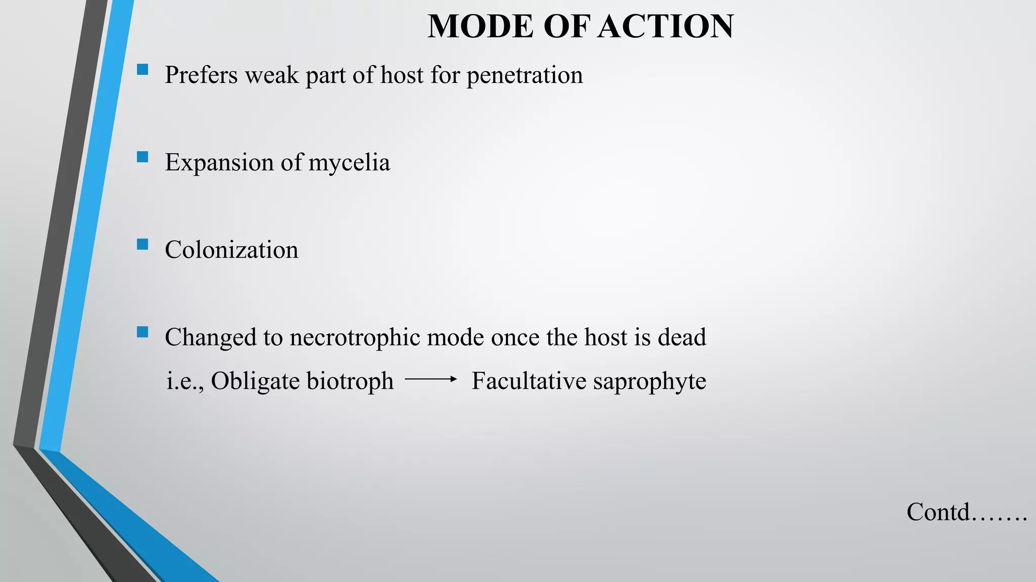 'HIMALAYAN GOLD'- A ZOMBIE FUNGI | PDF