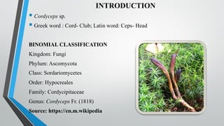 'HIMALAYAN GOLD'- A ZOMBIE FUNGI | PDF