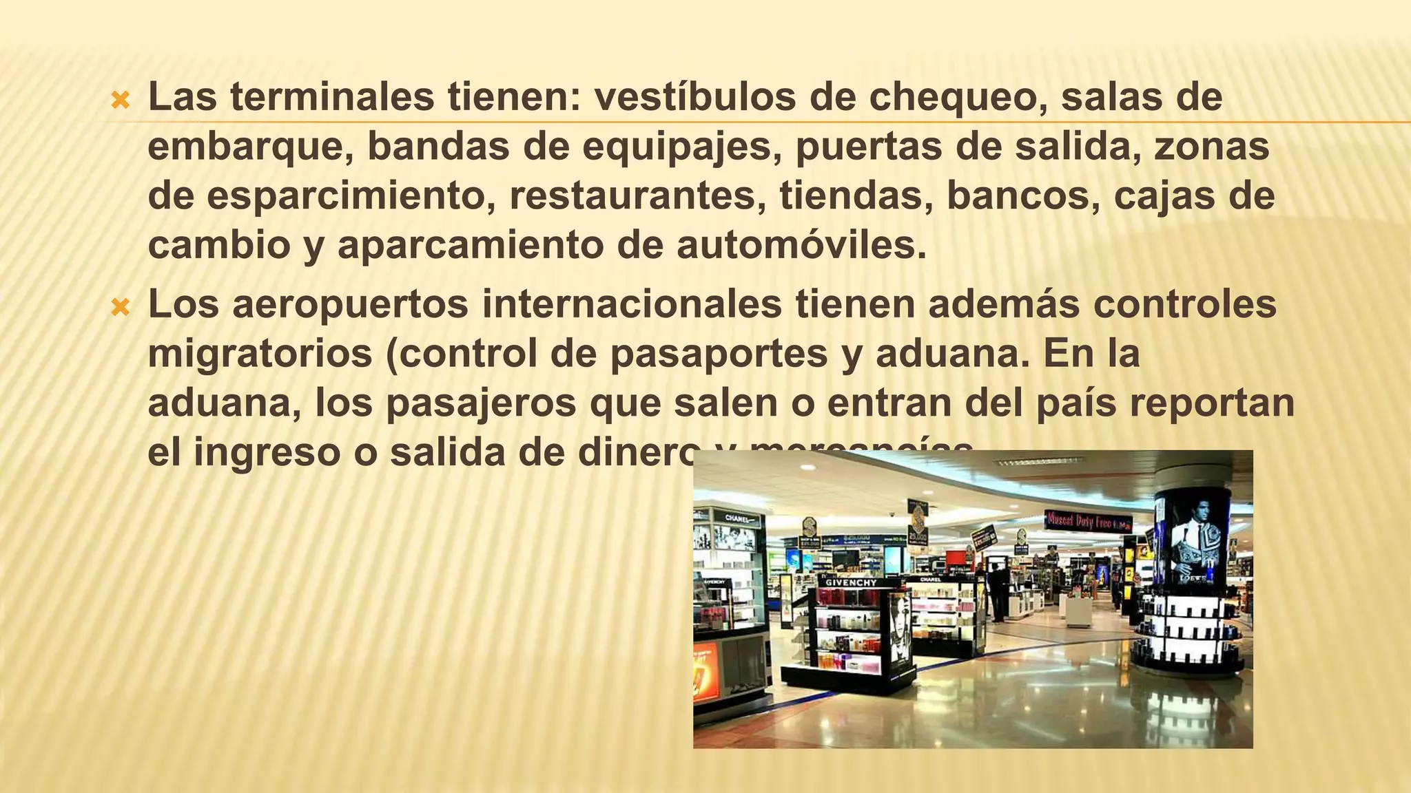 Zona terminal y plataformas | PPTX