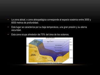Zona abisal | PPTX