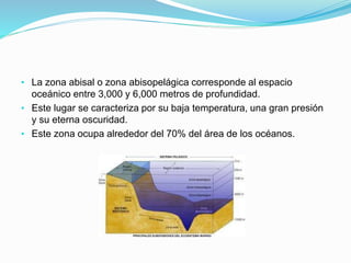 Zona abisal blog | PPTX