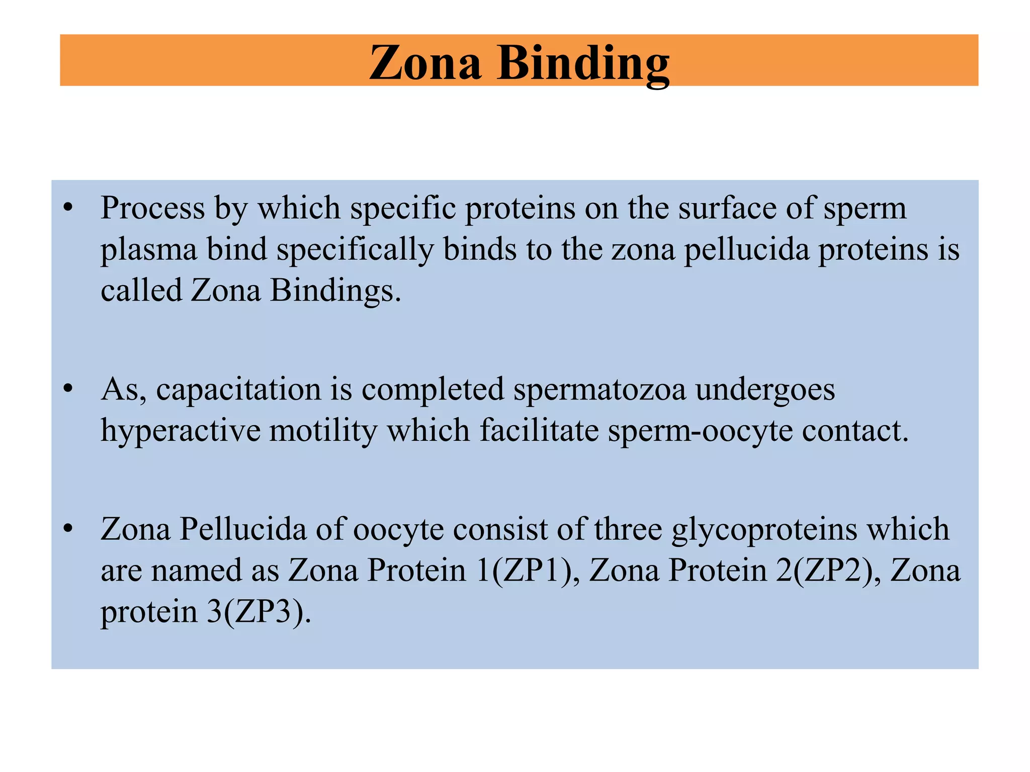 Zona binding & Polyspermy block.pptx