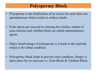 Zona binding & Polyspermy block.pptx
