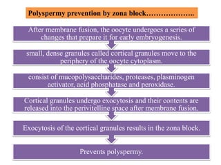 Zona binding & Polyspermy block.pptx