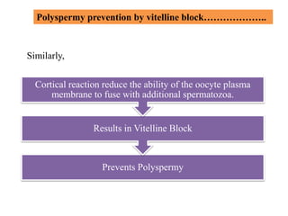 Zona binding & Polyspermy block.pptx