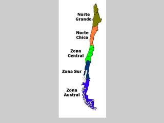 Zona central, sur y austral | PPT
