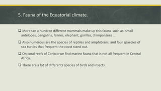 equatorial climate | PPTX