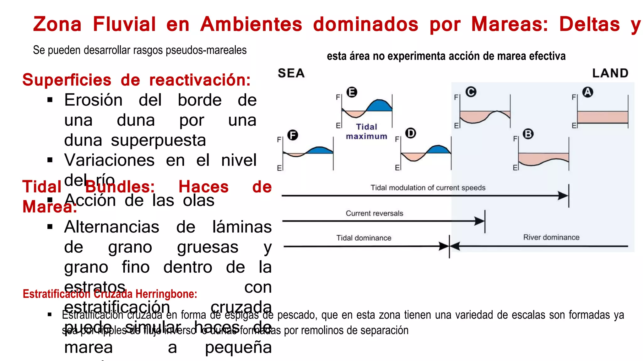 Zona fluvial en ambientes dominados por mareas deltas y estuarios ...