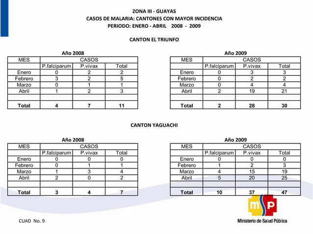 Zona III Cuadros Informativos 2009 | PPT