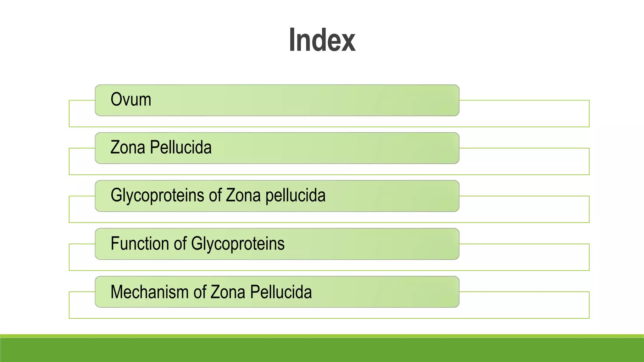 Zona pellucida | PPTX