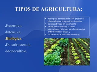 ZONAS AGRÍCOLAS E INDUSTRIALES DEL PLANETA. | PDF