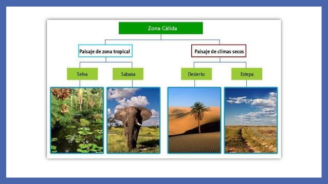 zonas climaticas tercero basico......pptx
