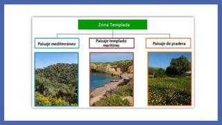 zonas climaticas tercero basico......pptx