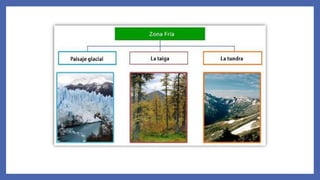 zonas climaticas tercero basico......pptx