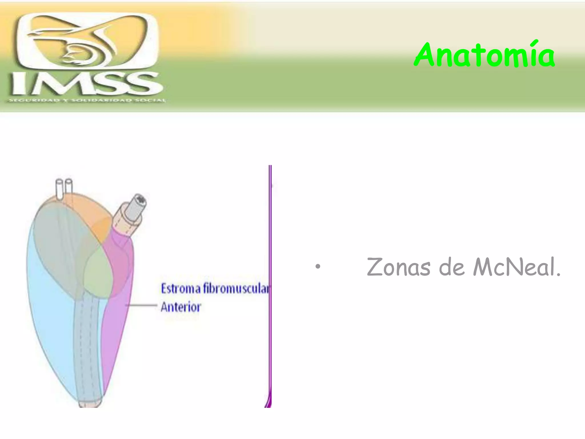 Zonas De Mc Neal Ppt