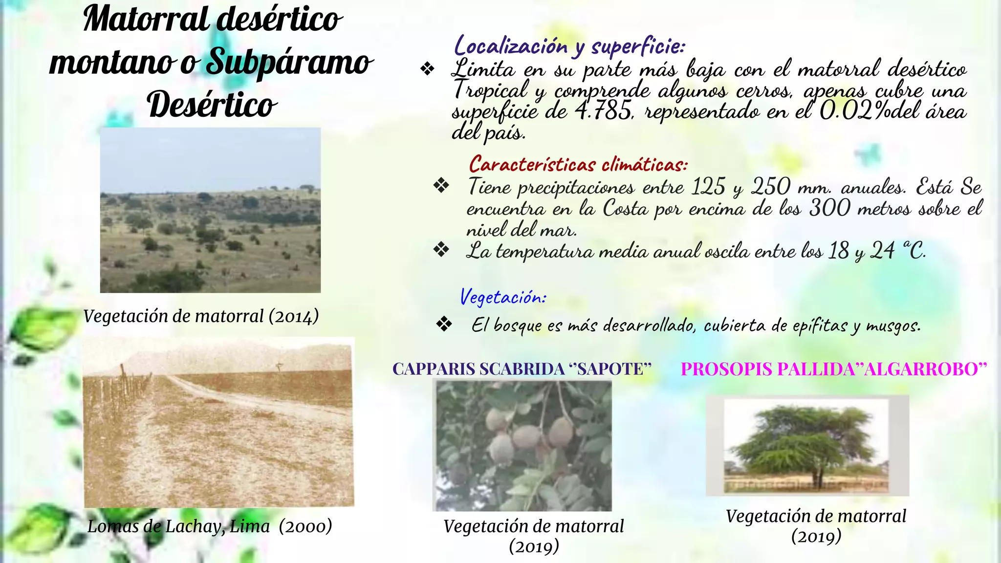 Matorral desértico montano y Monte espinoso premontano | PPTX
