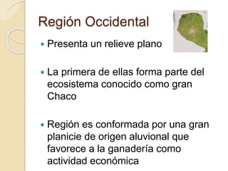 Zonas ecológicas del paraguay | PPTX