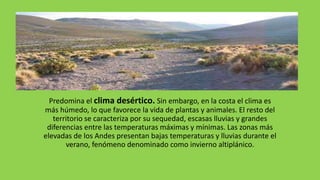 Zonas naturales de chile......norte grande | PPTX