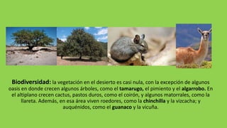 Zonas naturales de chile......norte grande | PPTX