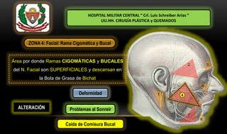 Zonas Peligrosas de la Cara | PPTX
