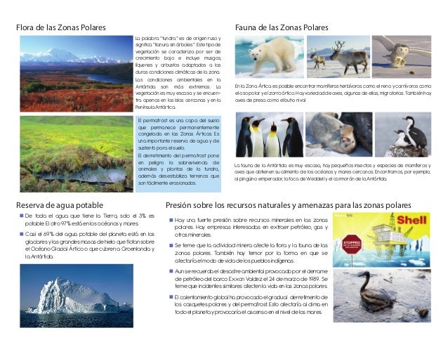 Zonas Polares