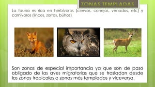 Zonas templadas colombia | PPTX