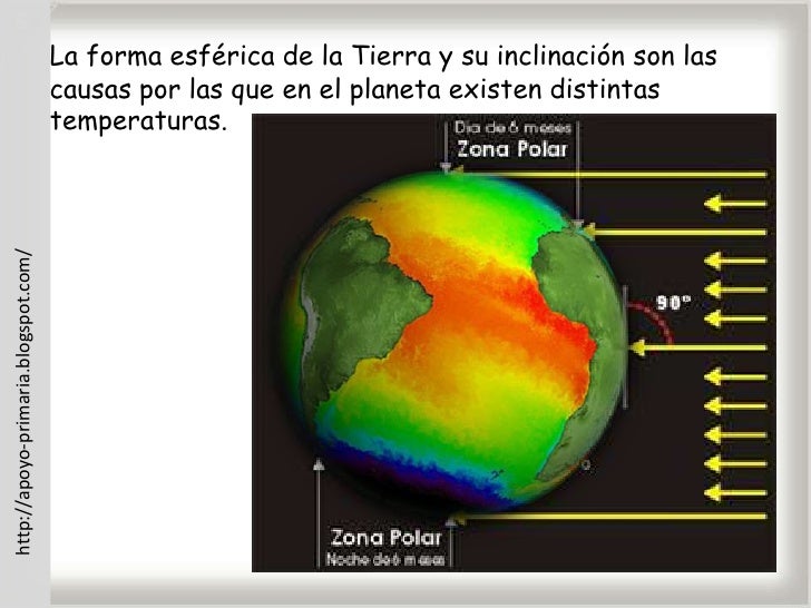 Zonas térmicas de la Tierra características, flora y fauna