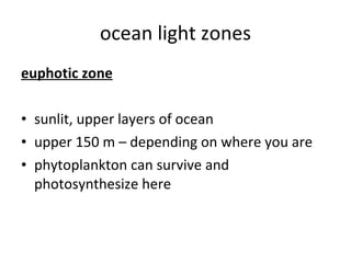 Zonation in the ocean powerpoint | PPT