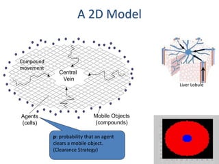 Computational Modeling and Simulation of Liver as a Complex System | PPT